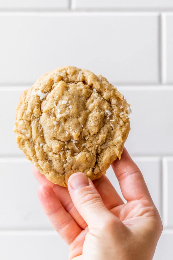Soft and Chewy Coconut Cookies - The Almond Eater