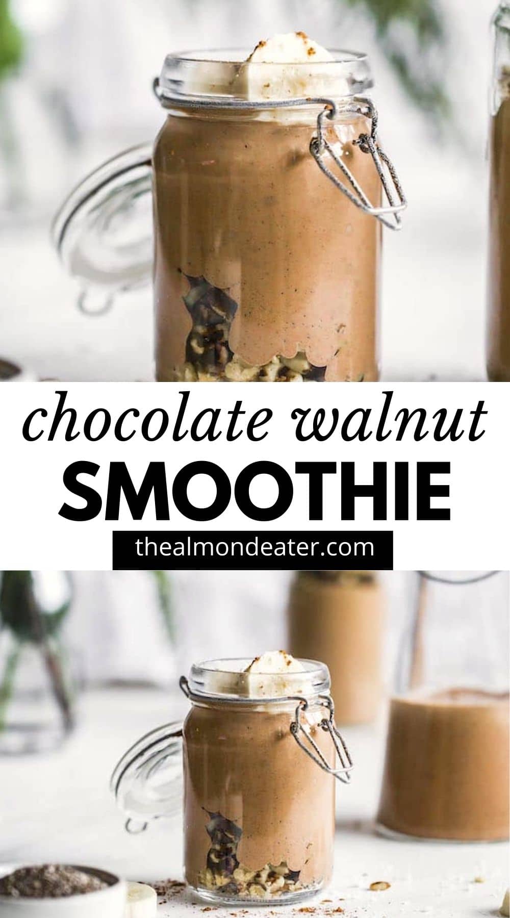 Chocolate Walnut Smoothie - The Almond Eater