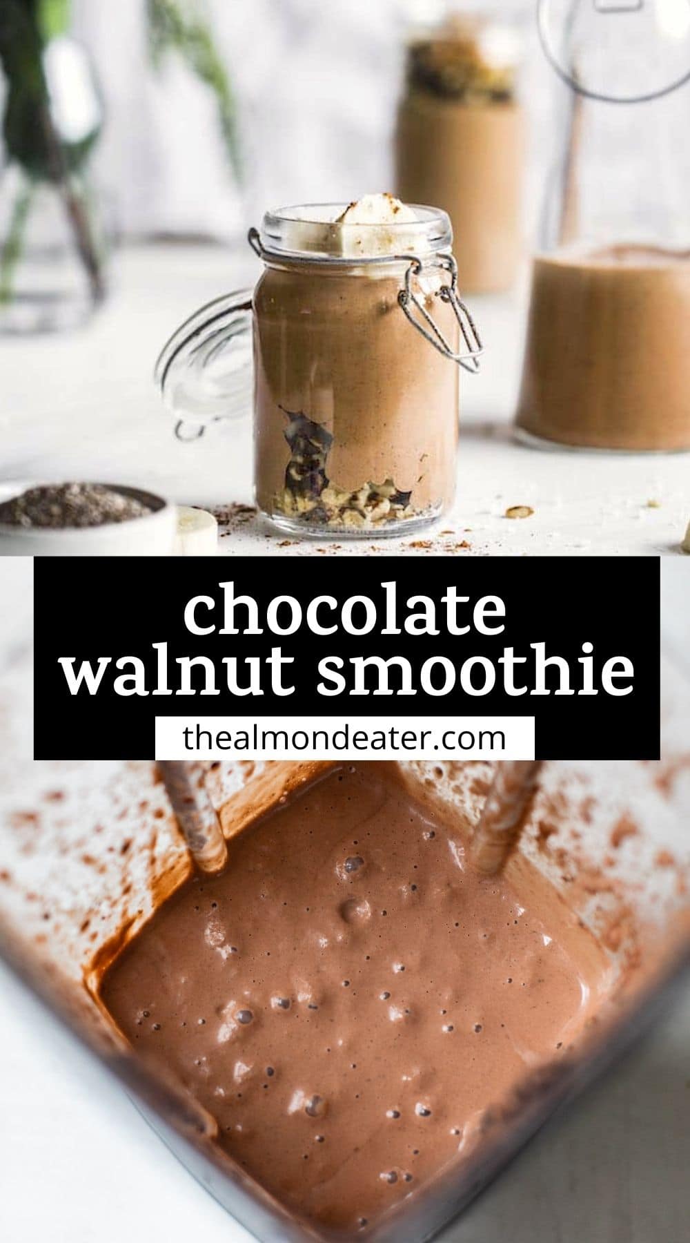 Chocolate Walnut Smoothie - The Almond Eater