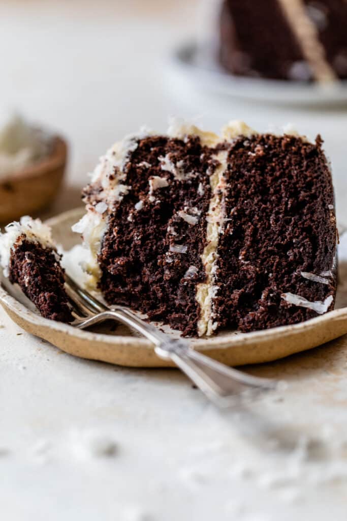 Chocolate Coconut Cake - The Almond Eater