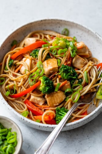 Chicken Lo Mein - The Almond Eater